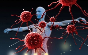 10+ cách tăng cường hệ miễn dịch theo khuyến cáo từ chuyên gia - Cell Insight